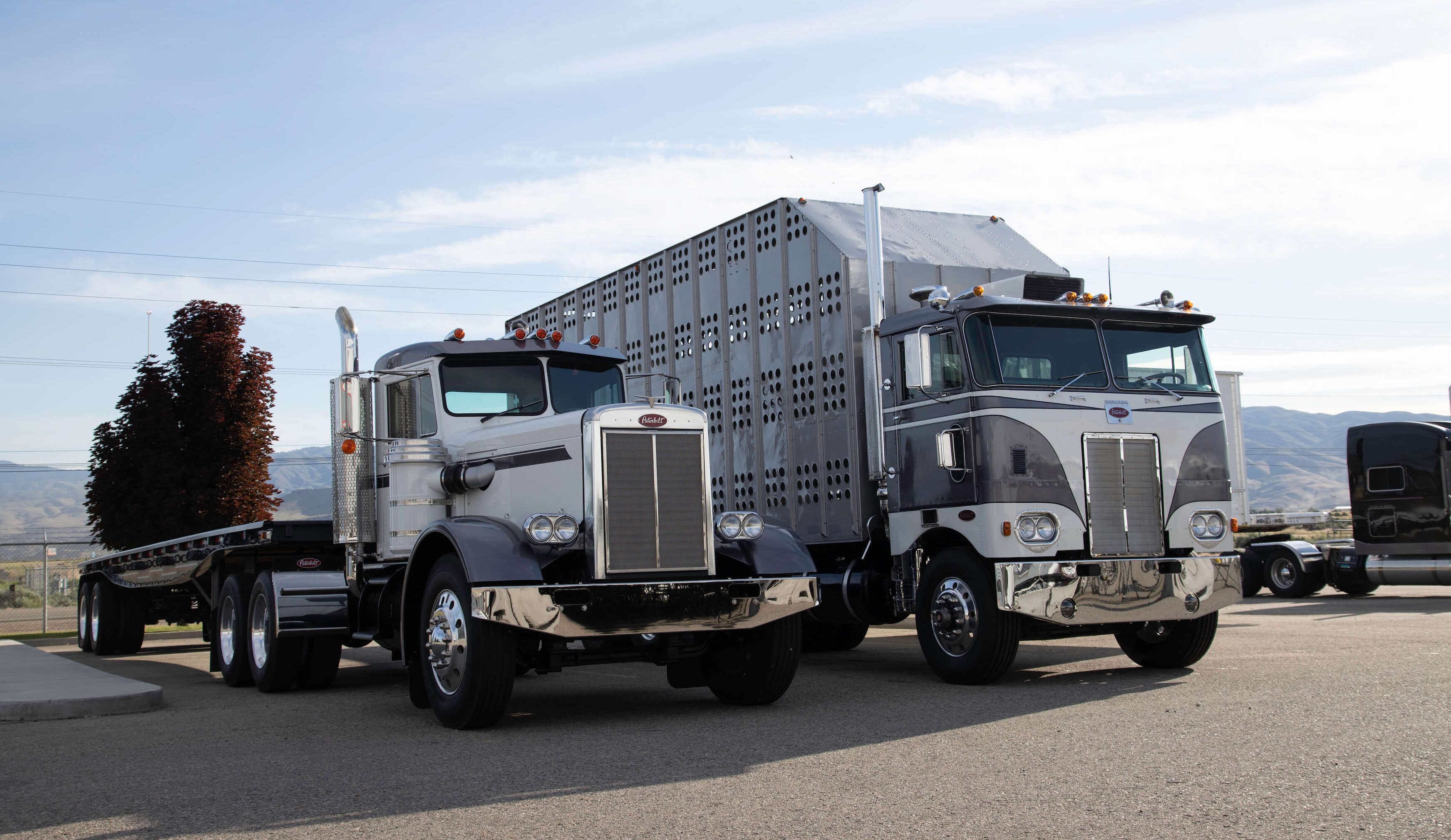 Full Width Display | Western Trailers